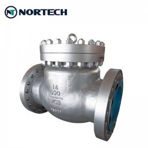 China High Quality Industrial API598 check valve China factory supplier ...
