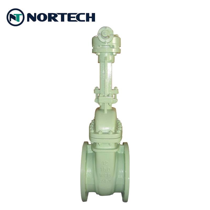 China API 600 Wedge Gate valve factory and manufacturers | Nortech