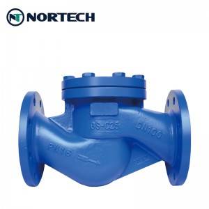 China High Quality Industrial DIN EN check valve Lift non-return valve ...