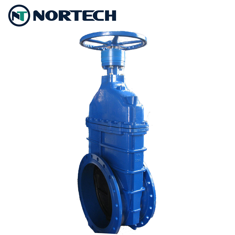 China Rising Stem Soft Seal Cast Iron Gate Valve China factory factory ...