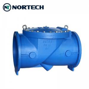 China High Quality Swing flex check valve China factory supplier ...