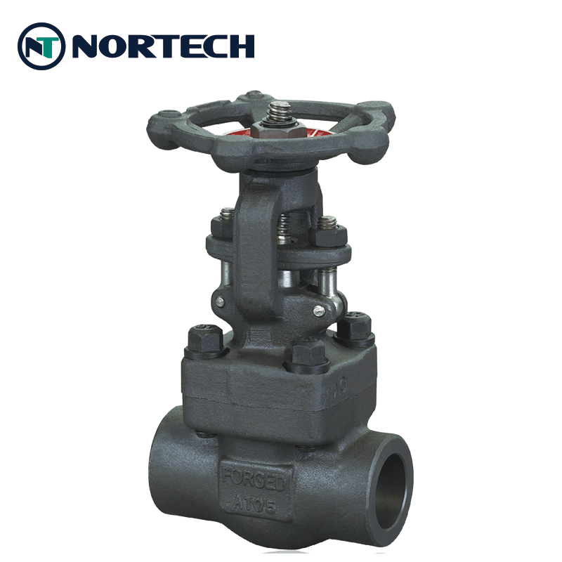 China Europe style for Actuated Gate Valve - Forged Steel Gate Valve ...