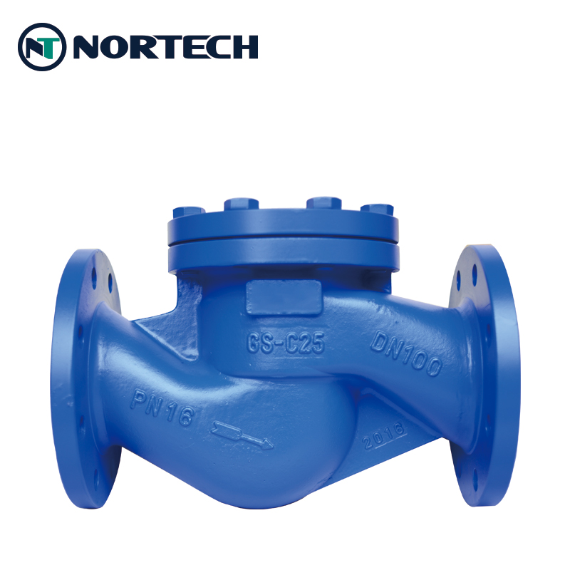 China Fast delivery Swing Check Valve 1500lbs - Lift Check Valve ...