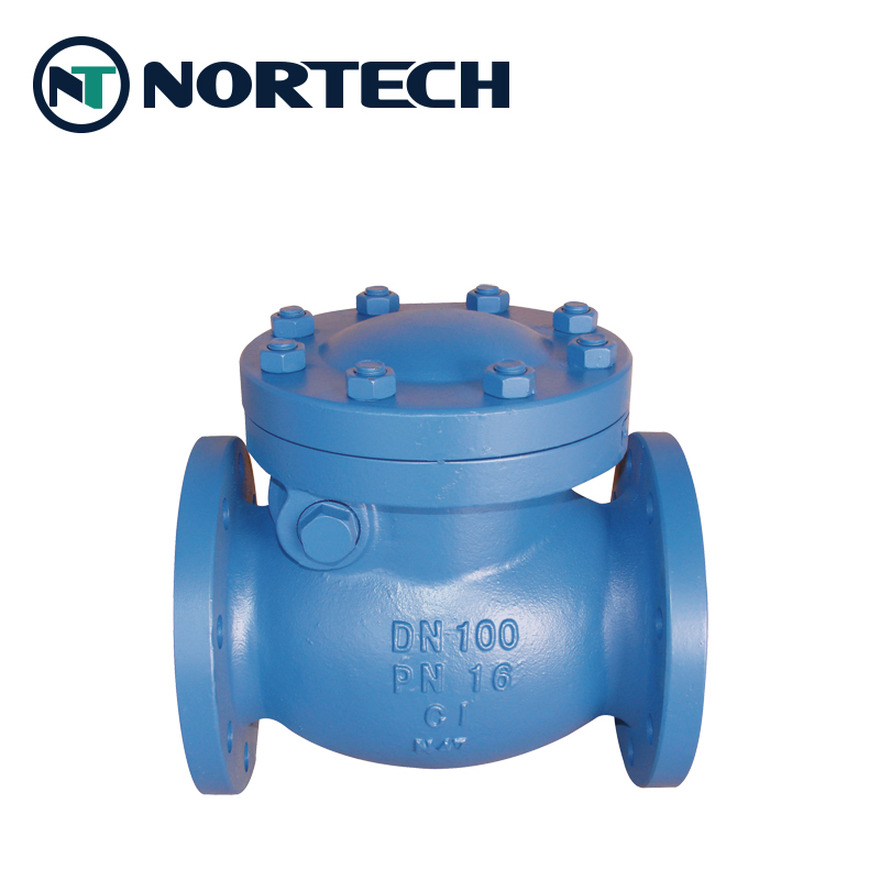 China High definition Metal Seated Non-Return Valve - Cast Iron Swing ...